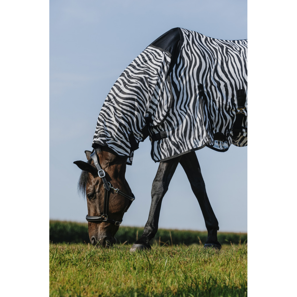 Riding World Belly Mesh Sheet - Combo - PADD - fly sheets - PADD