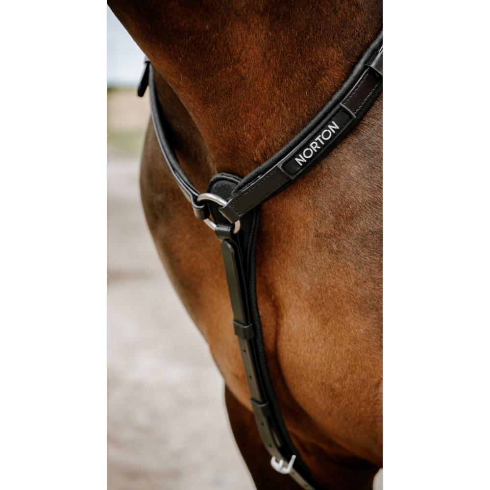 Norton Pop Breastplate - PADD - endurance - PADD